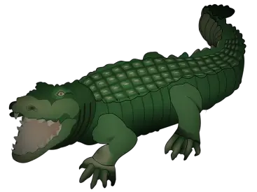 Venn Diagram - How To Study